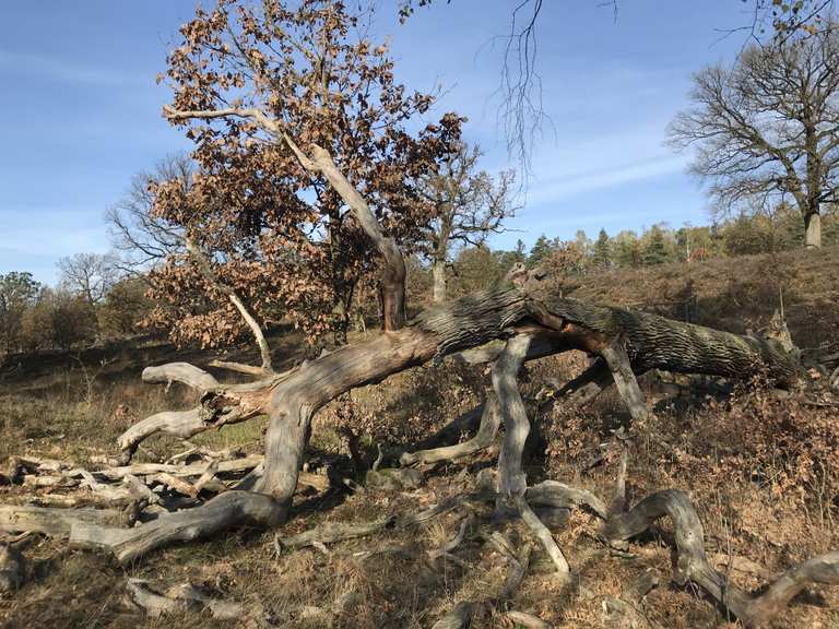 Breeser Grund - Routes for Walking and Hiking | Komoot