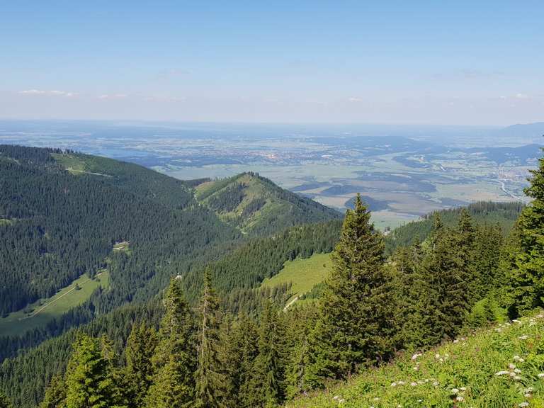 Laber Berg: Wanderungen und Rundwege | komoot