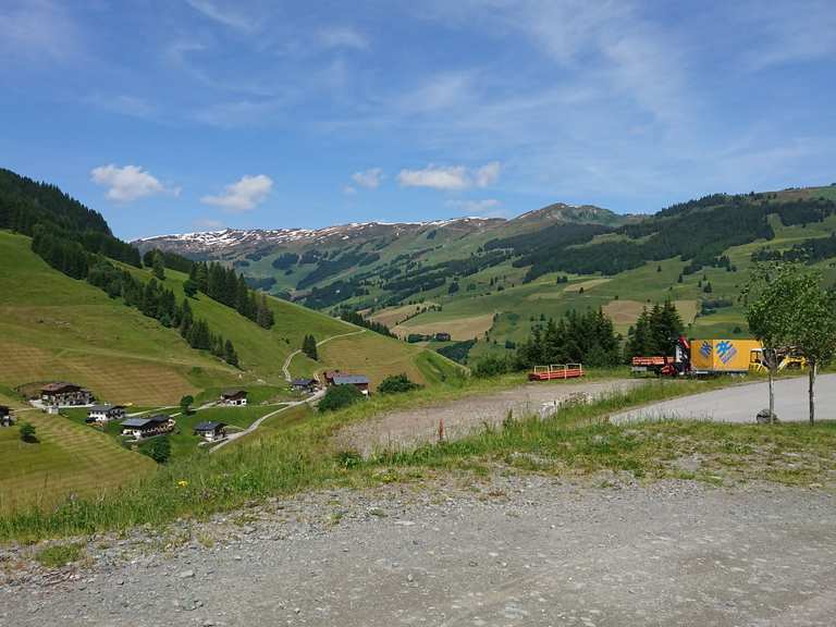 Buchegg Trail: Mountainbike-Touren | komoot