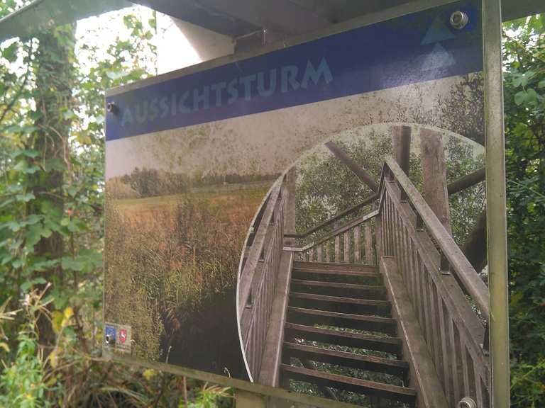 Aussichtsturm Ilkerbruch Routes for Walking and Hiking | Komoot