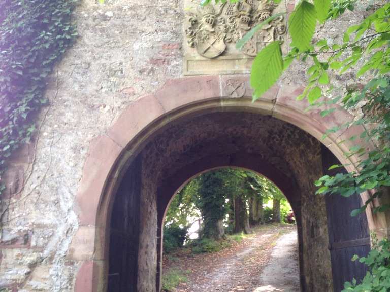 Burg Neidenstein: Mountainbike-Touren und -Trails | komoot