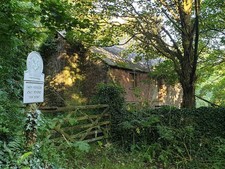 Croix de Dodman Point - Itinéraires de rando et marche | Komoot