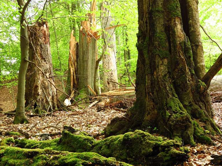 Heilige Hallen: Wanderungen und Rundwege | komoot