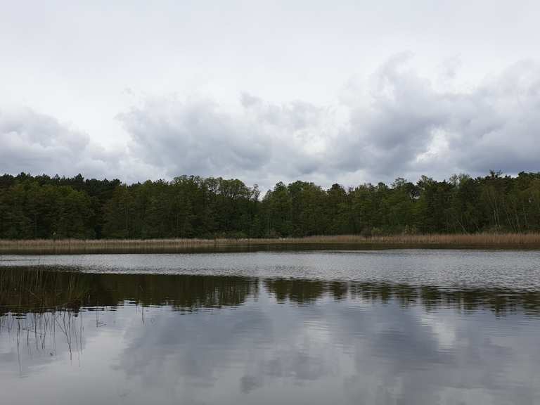 Frauensee: Wanderungen und Rundwege | komoot