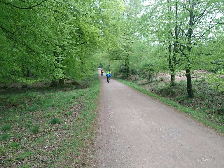 Family Cycle Trail loop — Forest of Dean Gravel | mountain bike ride ...