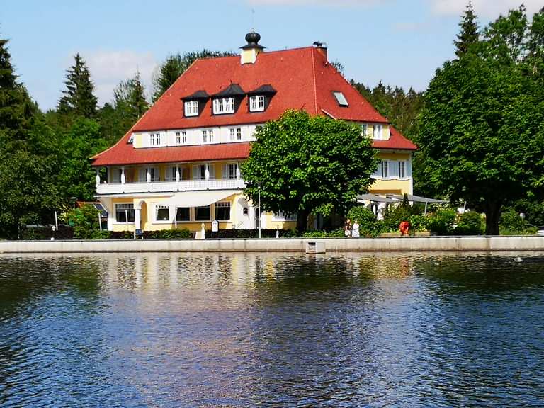 Waldsee bei Lindenberg: Wanderungen und Rundwege | komoot
