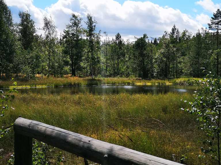 Hormersdorfer Hochmoor Routes for Walking and Hiking | Komoot