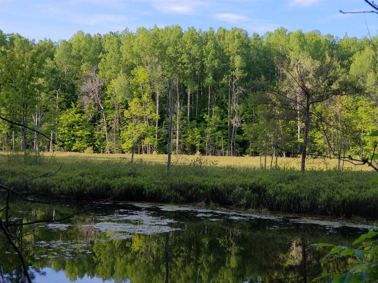 The Floating Kettle Bog: Wanderungen und Rundwege | komoot