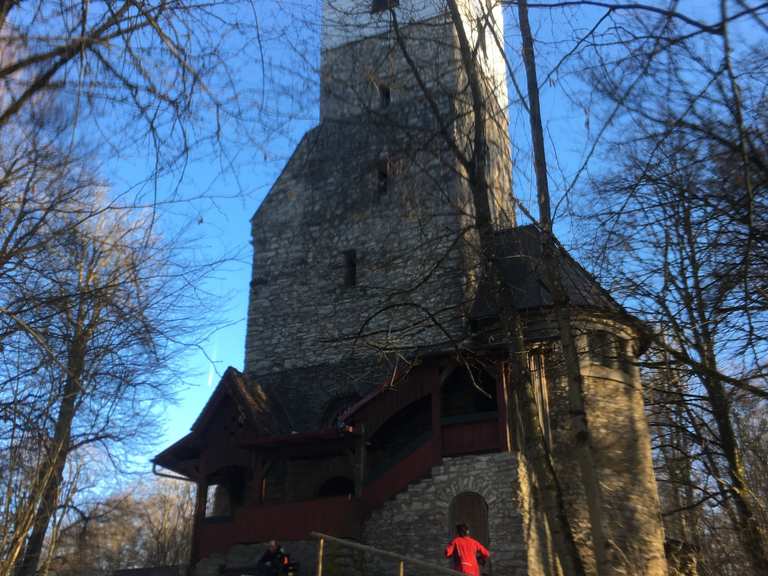 Moritzberg : Radtouren und Radwege | komoot