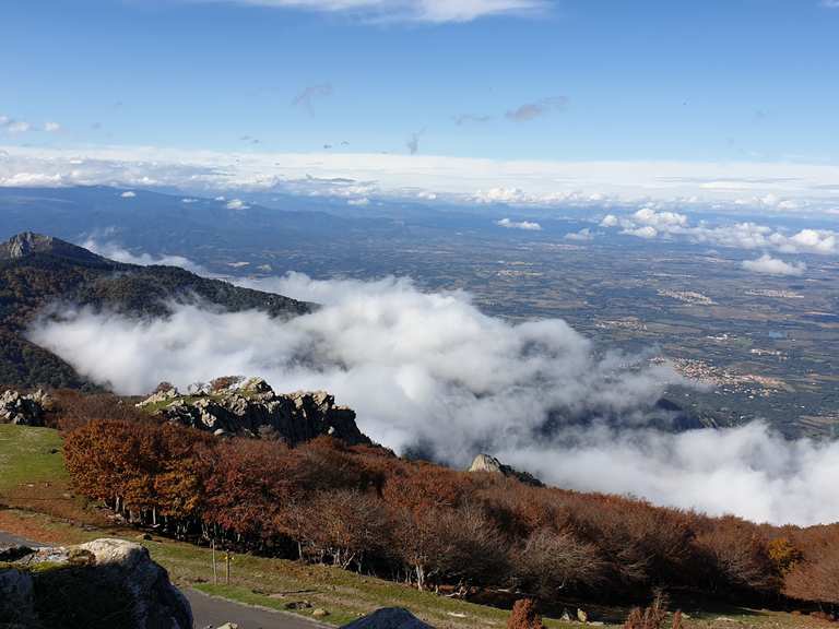 Puig Neulós – Chalet de l'Albère loop from Laroque-des-Albères | hike ...
