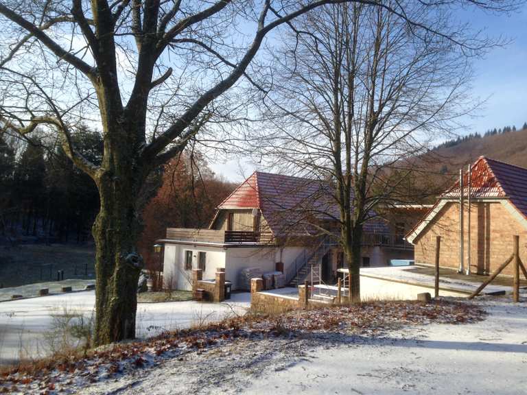 Forsthaus Annweiler/Schwarzer Fuchs Routes for Walking and Hiking | Komoot