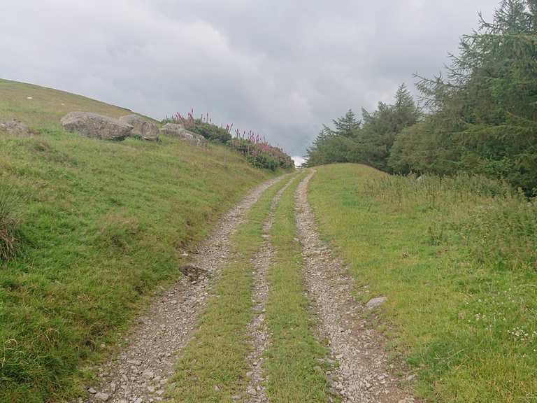 Stage 3: Llandegla to Ruthin — The Triban Trail | mountain bike ride ...