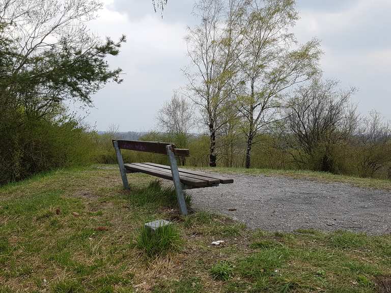 Bank mit Aussicht im Naturschutzgebiet Schwarzhölzl: Wanderungen und ...