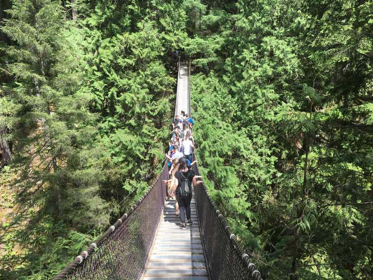 Suspension Bridge Routes For Walking And Hiking Komoot