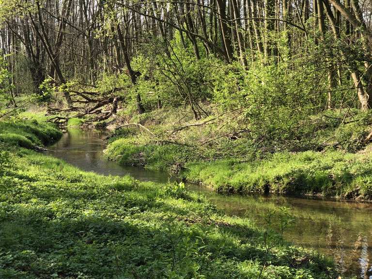 Arthur-Seifert-Way Cycle Routes and Map | Komoot