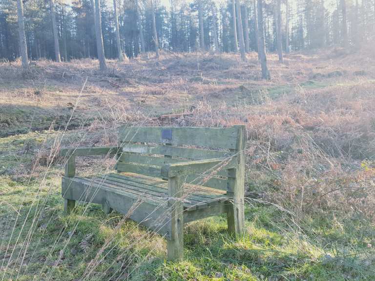 Reedy Pool Routes for Walking and Hiking | Komoot