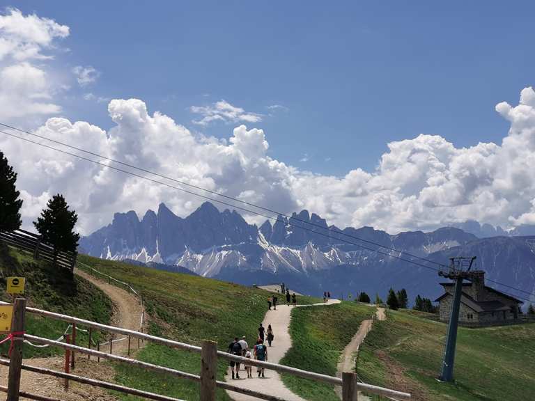 Panorama Berge Plose Routes for Walking and Hiking | Komoot