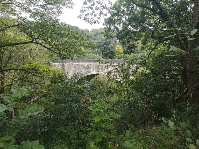 Causey Arch Routes for Walking and Hiking | Komoot