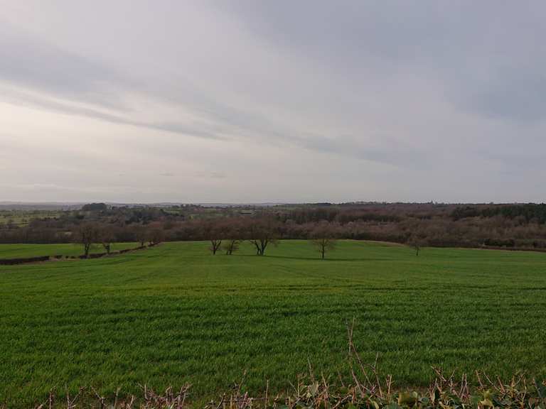 Linby Bike Trail - pristine gravel Cycle Routes and Map | Komoot