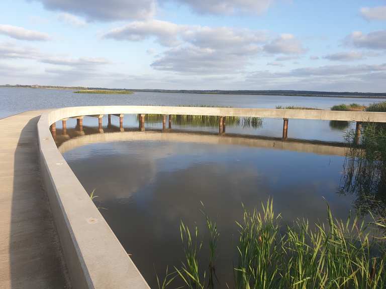 Elliptical Bridge at Filsø Cycle Routes and Map | Komoot