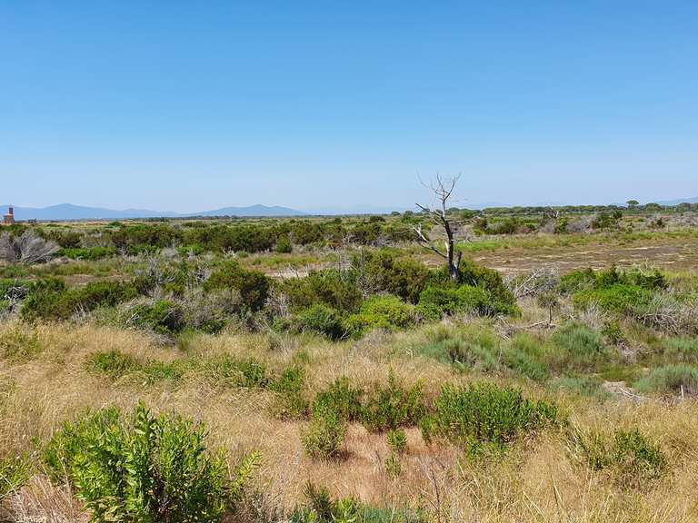 Pista ciclabile nella foce a delta dell'Ombrone Cycle Routes and Map ...
