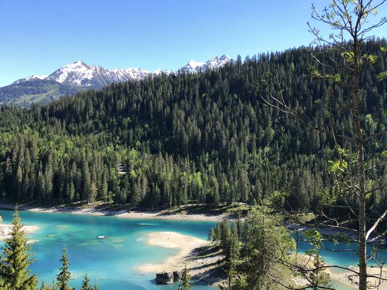 Dromerig pad op de Connbächli - wandelroutes en hikes | Komoot