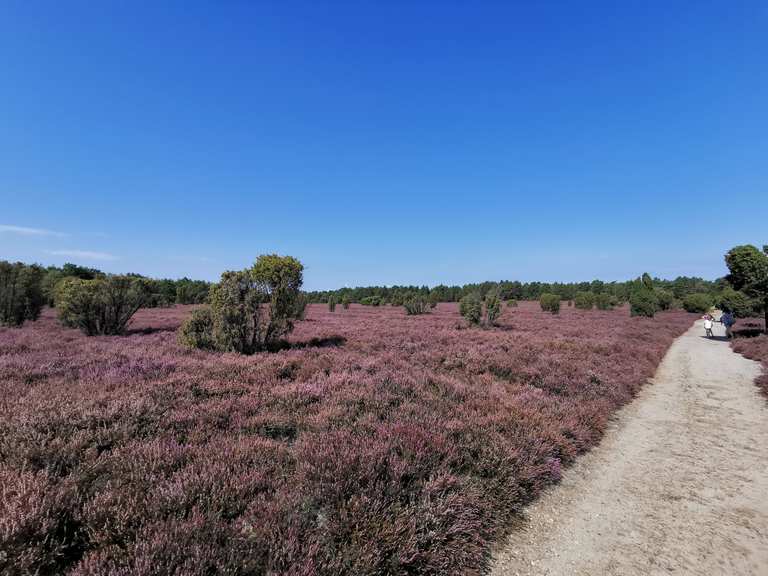 Heiliger Hain - Routes for Walking and Hiking | Komoot