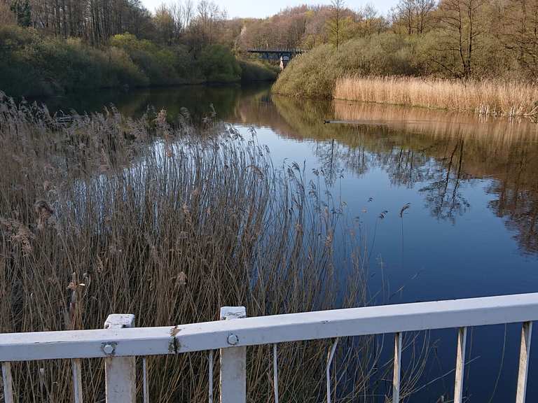 Schwentinebrücke bei Oppendorf: Mountainbike-Touren und -Trails | komoot