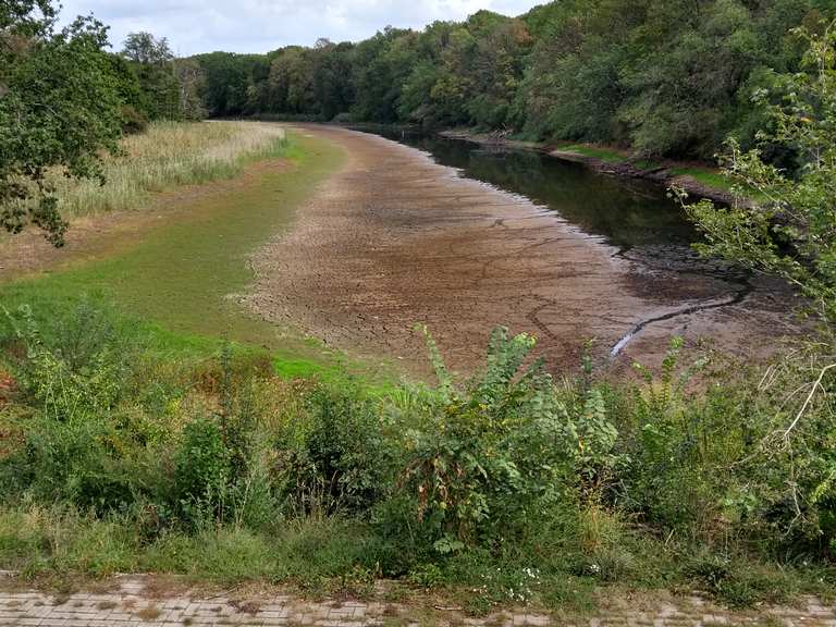 Dornburger Alte Elbe a Kreuzhorst : percorsi escursionistici e trekking ...