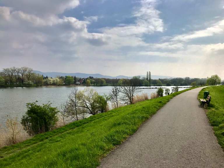 Neckarbrücke mit Blick nach Ladenburg - Cycle Routes and Map | Komoot