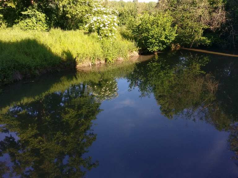 Schloss Kellenberg : percorsi ciclabili | Komoot
