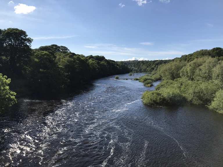 Hagg Bank Bridge (Wylam Bridge) - Cycle Routes and Map | Komoot