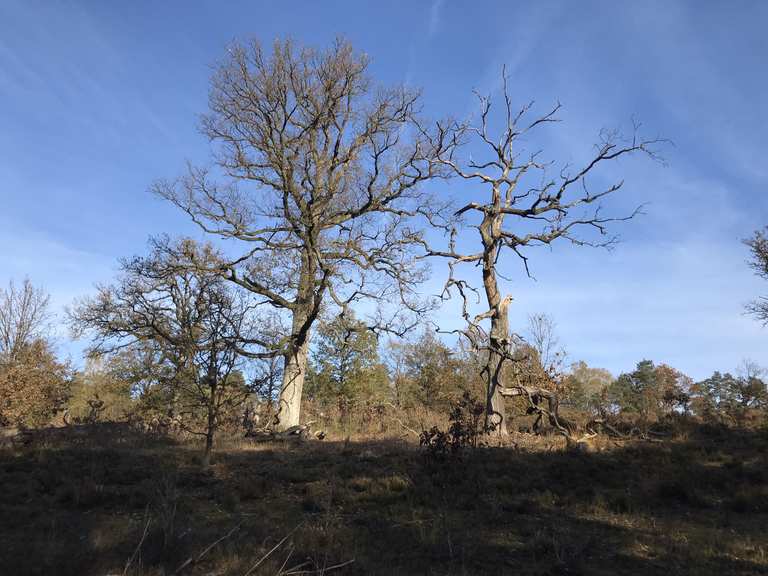 Breeser Grund - Routes for Walking and Hiking | Komoot