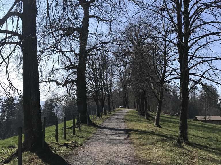 Sonnenberg: Wanderungen und Rundwege | komoot
