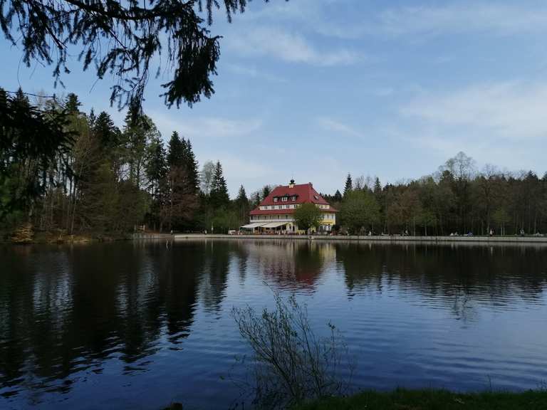Waldsee bei Lindenberg Routes for Walking and Hiking | Komoot