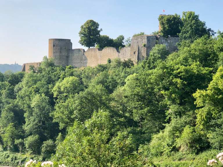 Blankenberg Castle Routes for Walking and Hiking | Komoot