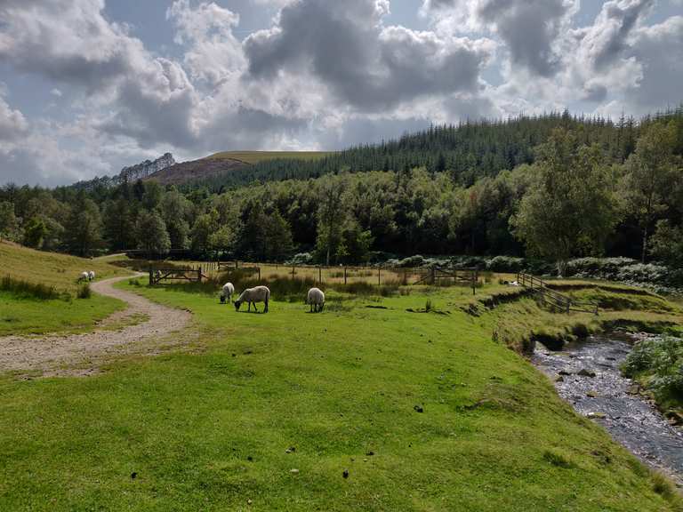 Ladybower, Derwent and Howden Reservoirs loop — Peak District National ...