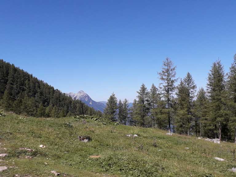 Dümlerhütte Routes for Walking and Hiking | Komoot
