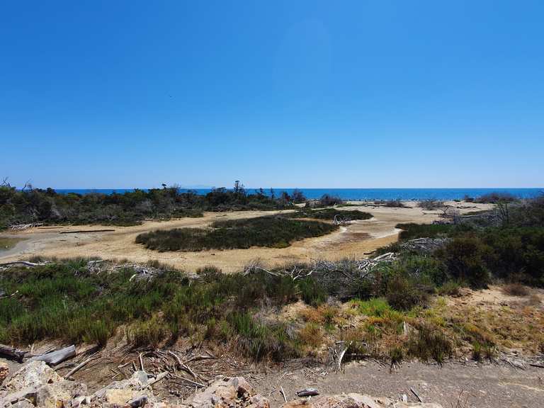 Pista ciclabile nella foce a delta dell'Ombrone Cycle Routes and Map ...
