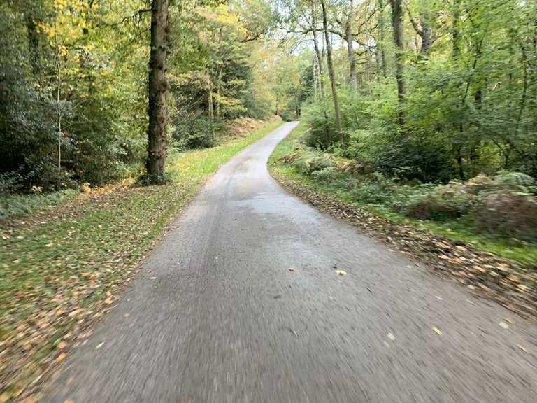 Forest route to the Longleat Estate Road Cycle Routes and Map | Komoot