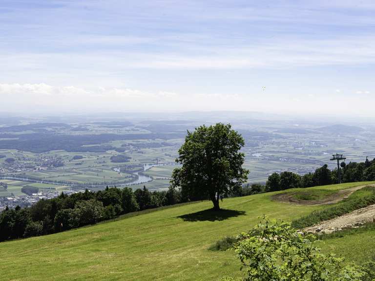 Weissenstein: Wanderungen und Rundwege | komoot
