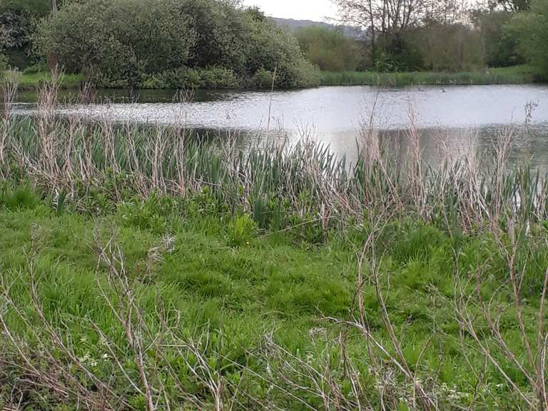 Higham Lakes - Cycle Routes and Map | Komoot