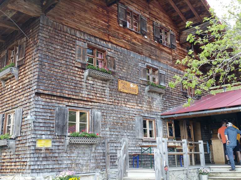 Alpe Oberberg: Wanderungen und Rundwege | komoot