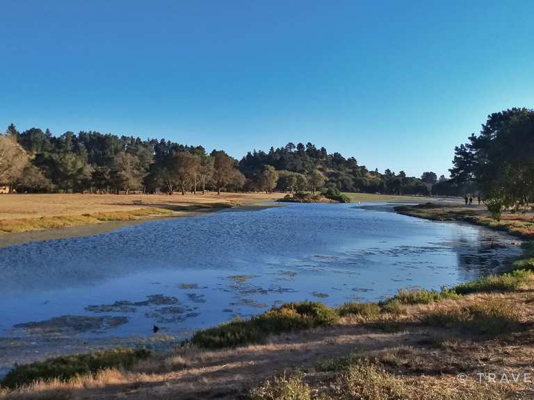 East Shore State Park Bay Trail loop to Miller/Knox Regional Shoreline ...