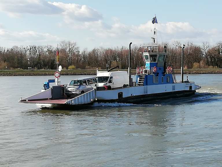 Ferry Greffern–Drusenheim - Rheinmünster, Rastatt | Cycling Segment ...