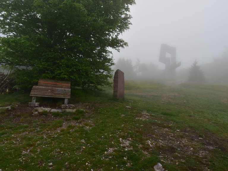 Erbeskopf (Höchster Punkt Rheinland-Pfalz) wandelroutes en hikes | Komoot