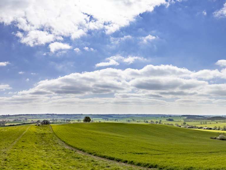 Boucle de Haselbech Hill depuis Cotteswood Hall | randonnée pédestre ...