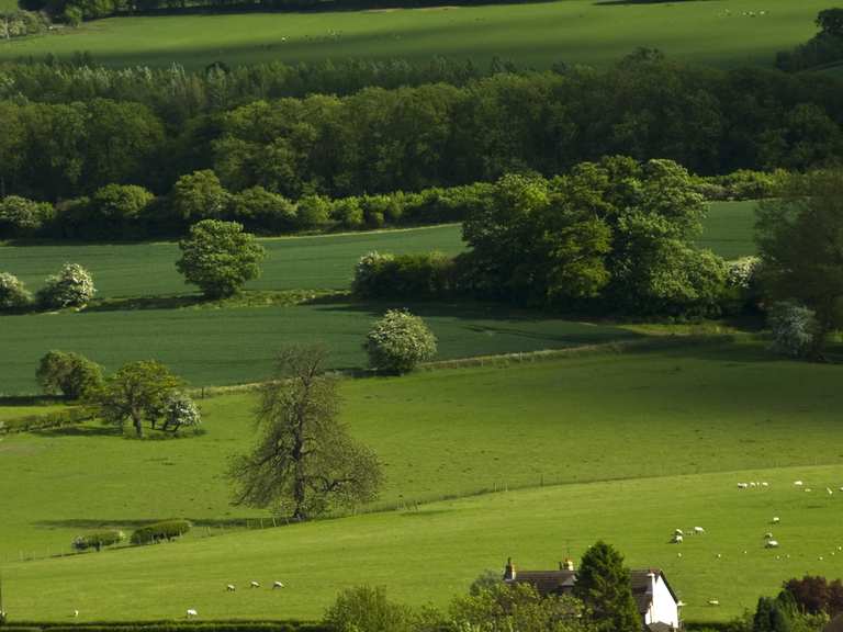 Kemsing Down Nature Reserve Routes for Walking and Hiking | Komoot