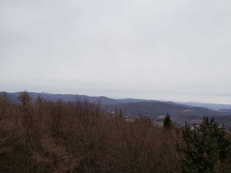 Troppbergwarte - Gablitz, Vienna Surroundings | Hiking Tips & Photos ...