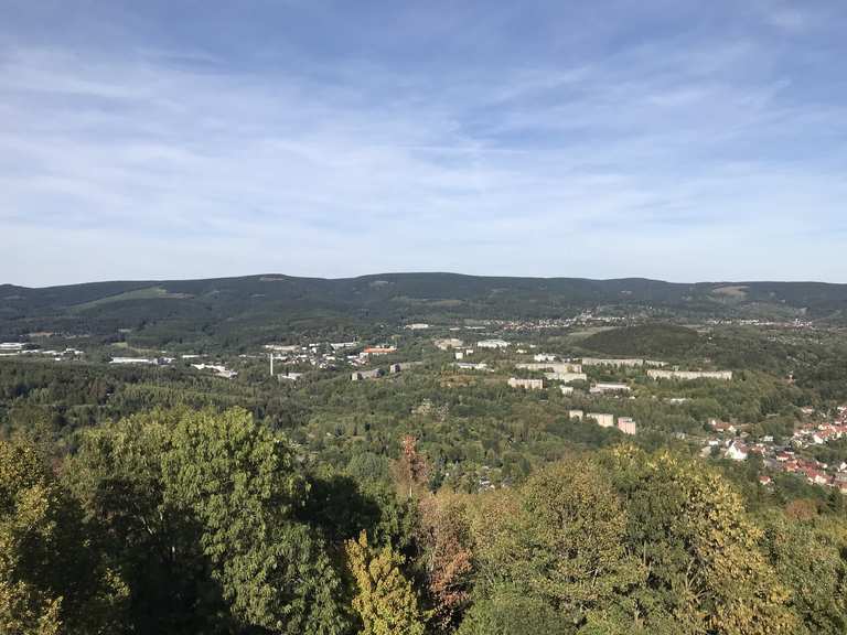 Domberg mit Bismarckturm: Wanderungen und Rundwege | komoot